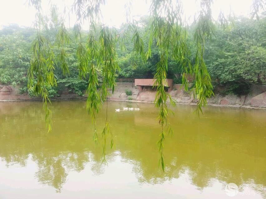 游历紫云书院-行摄风光-光影中国网-36.01ny.cn - Powered by Discuz!