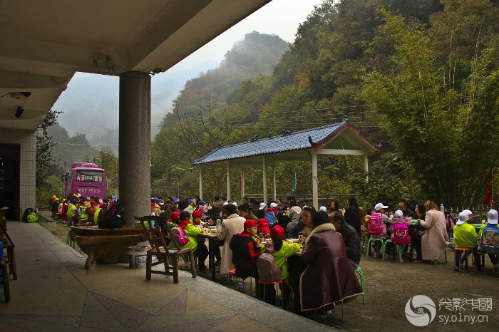 研学实践 “阳光杯·大美南阳”摄影大赛 光影中国网 36 01ny Cn Powered By Discuz