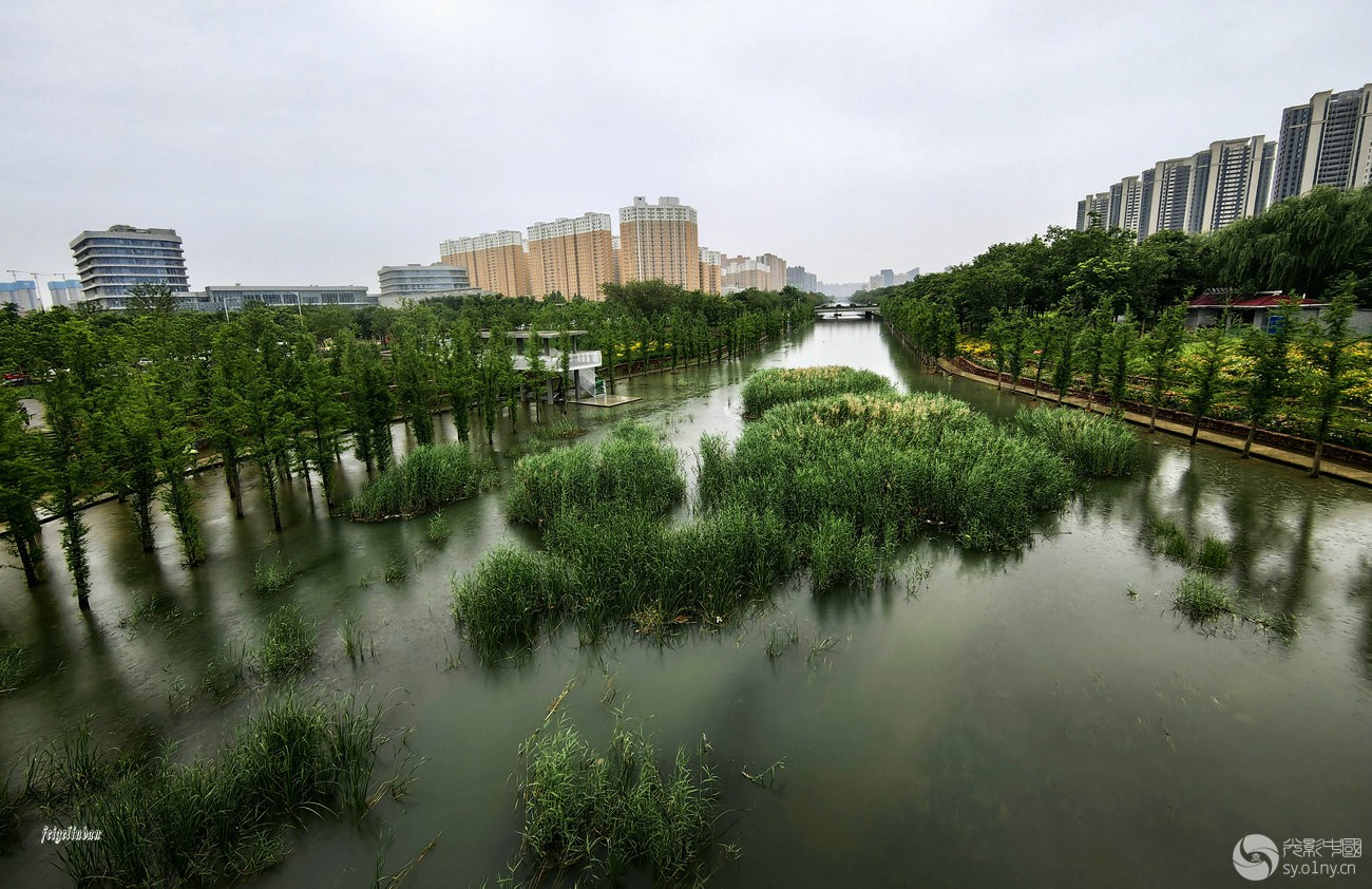 【郑州随拍】之 [雨中即景]（15）-新手图集-光影中国网-36.01ny.cn - Powered by Discuz!