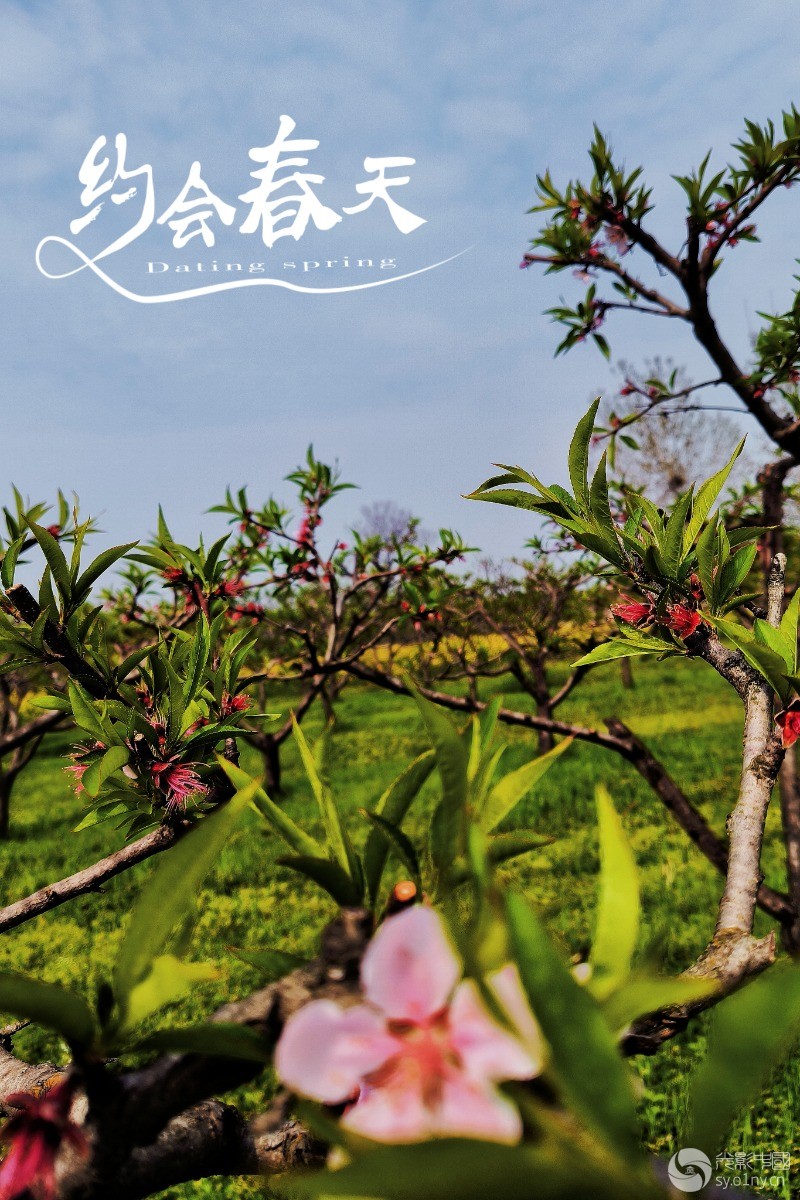 四月天(1)-新手图集-光影中国网-36.01ny.cn - Powered by Discuz!